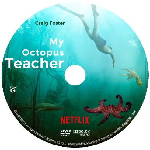 MY OCTOPUS TEACHER DVD – TheTv Movies